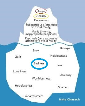 Radical Acceptance, by Dr. Nate Charach – Climate Pledge Collective